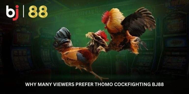 Thomo Cockfighting BJ88 – Where Every Match Tells a Real Story